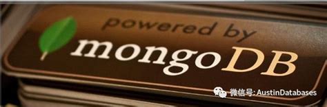 Mongodb导入数据导致的复制集解体怎么办 大数据 亿速云