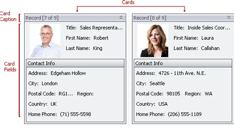 Card Winforms Controls Devexpress Documentation