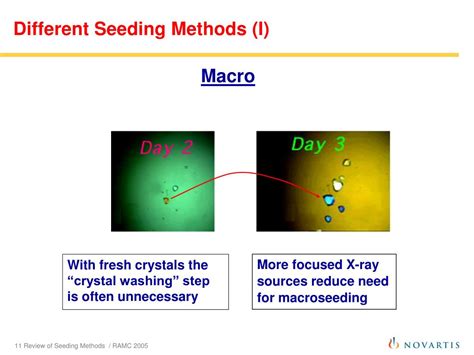 Ppt A Review Of Seeding Methods Powerpoint Presentation Free