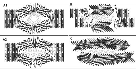 Phospholipid Self Assembly In Cocoa Butter Provides A Crystallizing