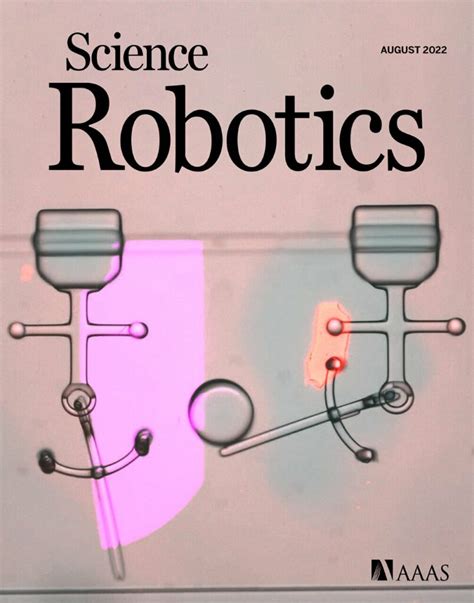 3d Printing Microrobots With Multiple Component Modules Inside A