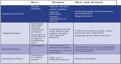 Human Sexuality Flashcards Quizlet