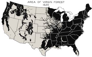 Filevirgin Forest In United States 1620png Wikimedia Commons