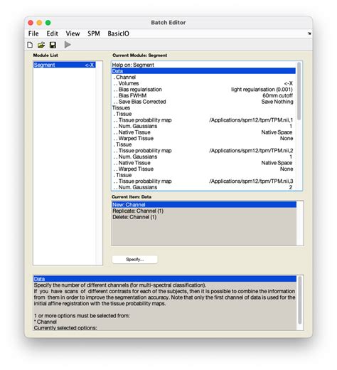 Segmentation Spm Documentation