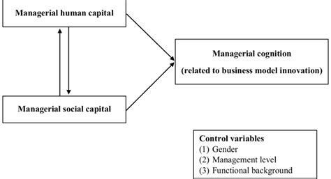 Interactions Of Dynamic Managerial Capabilities Download Scientific Diagram