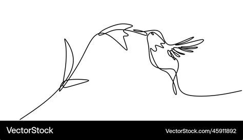 Continuous One Line Drawing Of Hummingbird Vector Image