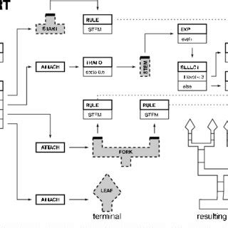 An Example Rule Set That Generates A Small Tree Like Structure Download Scientific Diagram