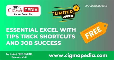 Essential Excel With Tips Trick Shortcuts And Job Success Free Udemy