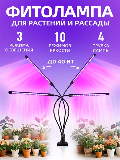 Фитосветильники для растений купить по низкой цене на Яндекс Маркете