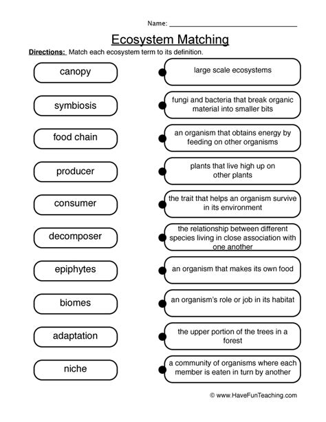 Matching Ecosystems Worksheet Worksheets Library