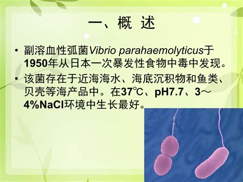 副溶血性弧菌检验