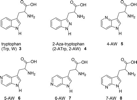 Tryptophan Structure At Ph 7