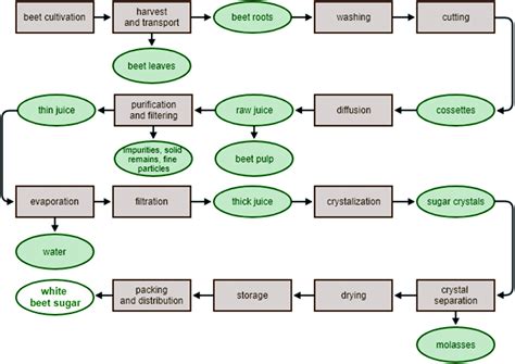simplified scheme for the production of sugar from sugar beet