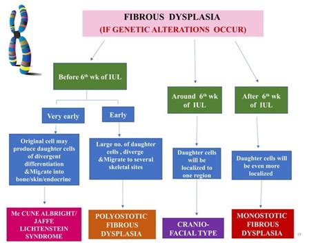 Fibro Osseous Lesion In Maxillofacial Region Pptx