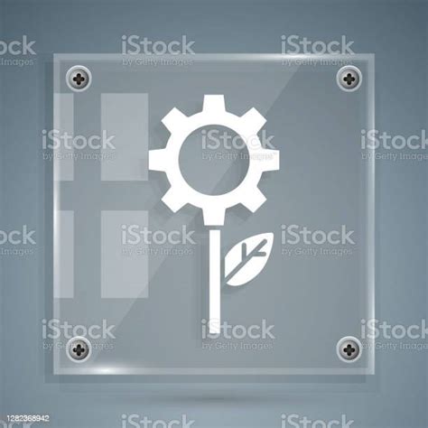 회색 배경에 고립 된 기어 기계 아이콘의 화이트 리프 식물 생태 친환경 기술 세계 환경의 날 라벨 정사각형 유리 패널 벡터 일러스트레이션 개념에 대한 스톡 벡터 아트 및