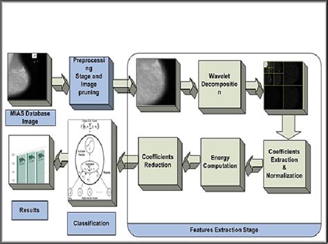 Figure 1 From Breast Abnormality Detection In Mammograms Using Artificial Neural Network