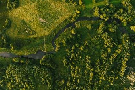 Unit Testing Vs Regression Testing Differences And Similarities Testlio