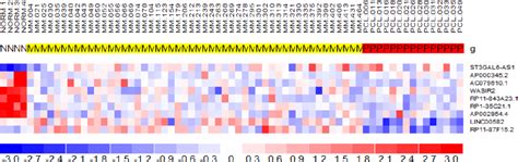 Figure 1 From The Relevance Of Long Non Coding Rna In The Biological And Clinical Heterogeneity