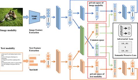 The Flowchart Of The Proposed Representation Separation Adversarial Download Scientific Diagram