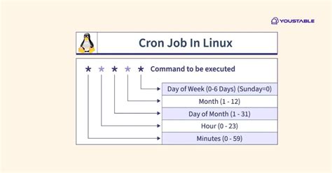 how to use cron jobs on linux to simplify tasks