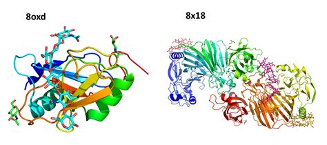 Protein Carbohydrate Interfaces Pdb Depositions November 2024 Glycopedia