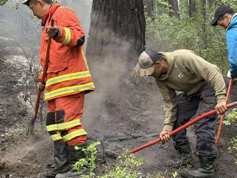 Дархан Уул аймагт гарсан ойн түймрийг бүрэн унтраажээ