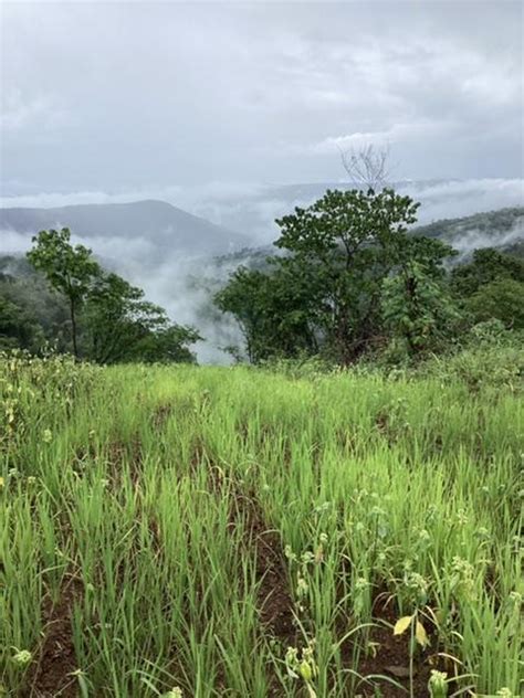 22ไร่ เนินสูง วิวสวยรอบทิศติดลำธารหน้าผา ที่ดินร้อยแปด คอม