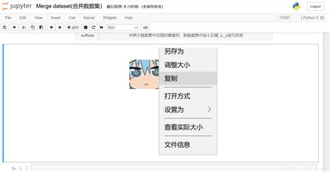 Jupyter Notebook中快速插入图片的简单方法jupyter Notebook中进行图复制 Csdn博客