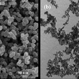 A SEM Image And B TEM Image Of Synthesized TiO 2 B Anatase Download Scientific Diagram