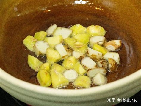 正宗大排档风味啫啫鸡煲 知乎