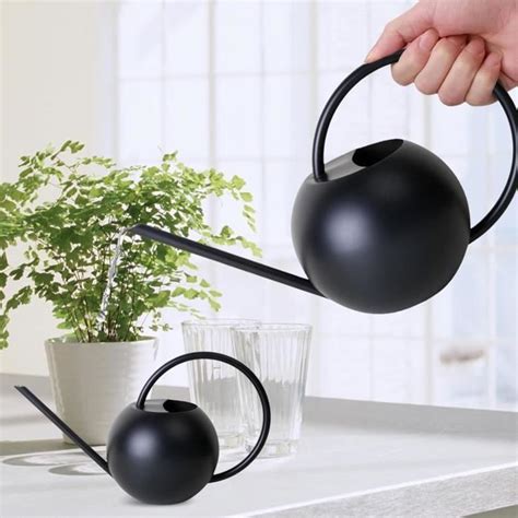 Arrosoir 400 Ml Petit Arrosoir Pour Plantes Dintérieur En Acier