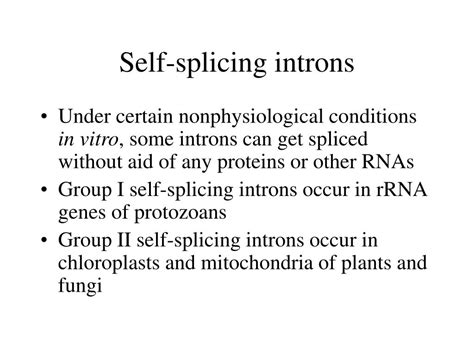 Ppt Post Transcriptional Gene Control Powerpoint Presentation Free Download Id 433254