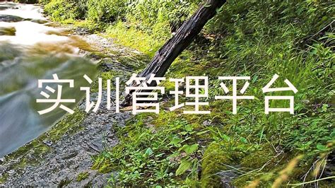 实习生管理系统是什么 实习管理系统 智慧校园