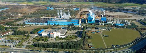 خدمات شرکت صنایع چوب و کاغذ مازندران