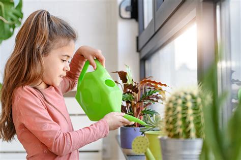 귀여운 어린 딸이 집안일을 하고 어머니가 식물에 물을 주도록 돕습니다 아이들을위한 가정 집안일 실내용 화초에 대한 스톡 사진 및
