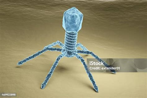 살 균 소 바이러스 전자 현미경 이미지 박테리오파지에 대한 스톡 사진 및 기타 이미지 박테리오파지 주사 전자 현미경 전자 현미경 사진 바이러스 Istock