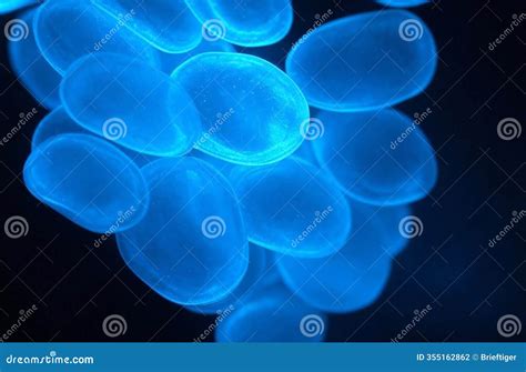 Blue Glowing Algae Cells Captured Under Microscope Stock Illustration