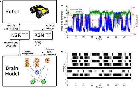 Frontiers Connecting Artificial Brains To Robots In A Comprehensive Simulation Framework The