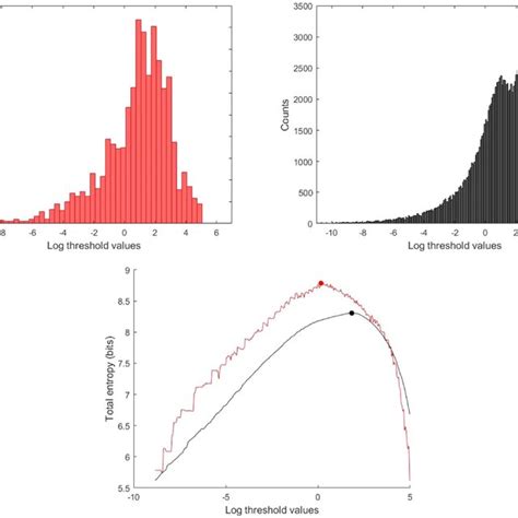 Histogram And Total Entropy As A Function Of The Thresholds For The Log Download Scientific