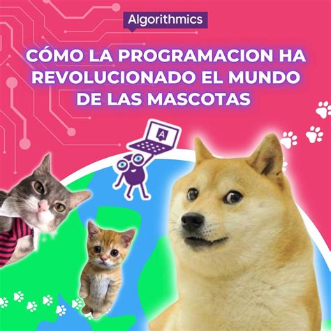 Algorithmics Irapuato Algorithmicsirapuatocibeles • Instagram