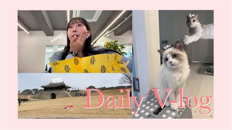 Vlog 직장인 일상브이로그연차에는 뭐하나요고양이들과 힐링타임먹방오랜만에 미용실염색커트코스트코 쇼핑점심시간 먹방화이트데이호두과자 맛집 추천 Youtube