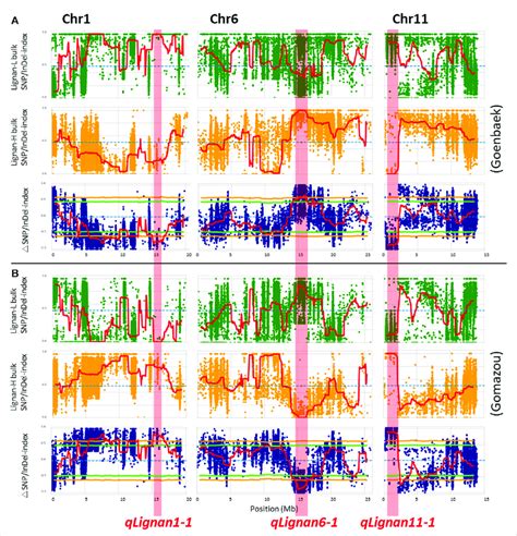 Qtl Seq Analysis For The Identification Of Major Effect Qtls Download Scientific Diagram