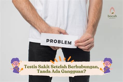Testis Sakit Setelah Berhubungan Tanda Ada Gangguan