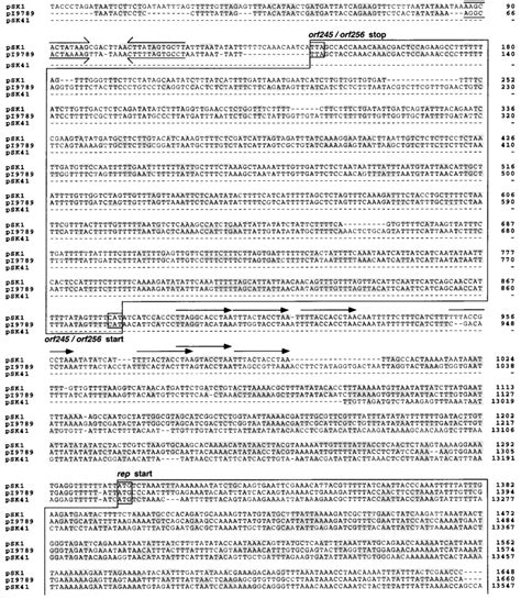 Nucleotide Sequence Alignment Of The Replication Regions Of Psk1
