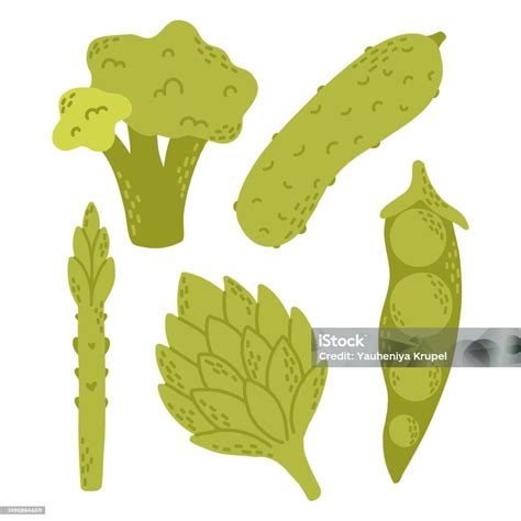 평평한 녹색 채소의 벡터 세트입니다 야채 브로콜리 오이 완두콩 아티 초크 아스파라거스 컬렉션 가지 채소에 대한 스톡 벡터 아트 및 기타 이미지 Istock