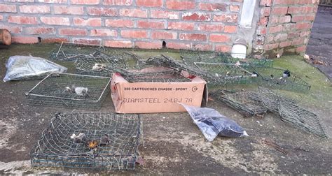 Jager Betrapt Op Illegale Praktijken In Jeuk
