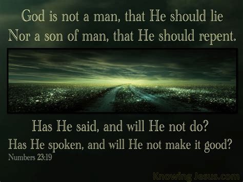 23 Bible Verses About Oracles