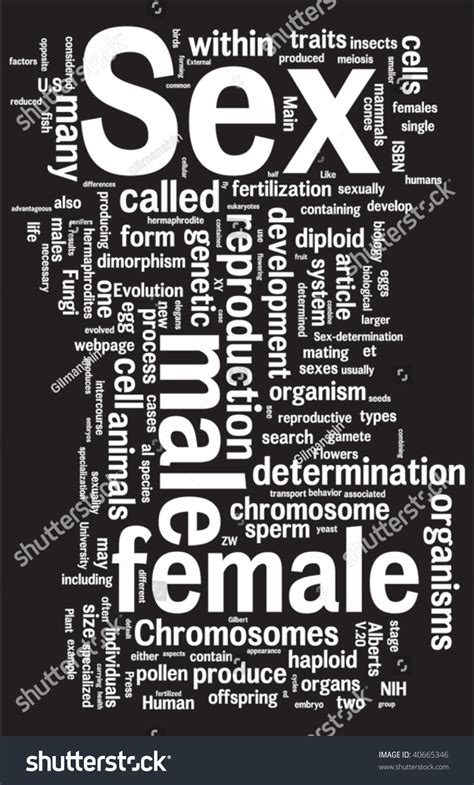 Ilustración de nube de palabras sexuales vector de stock libre de regalías 40665346