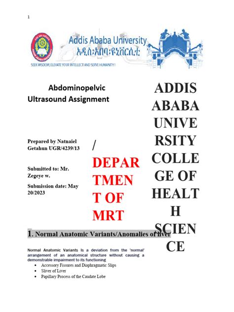 Normal Anatomic Variant Pdf Liver Diseases And Disorders