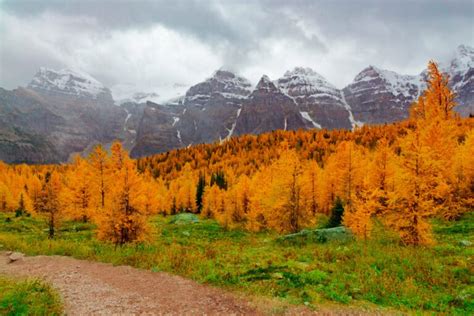 How To Model Multiple Seasonality In Time Series Towards Data Science